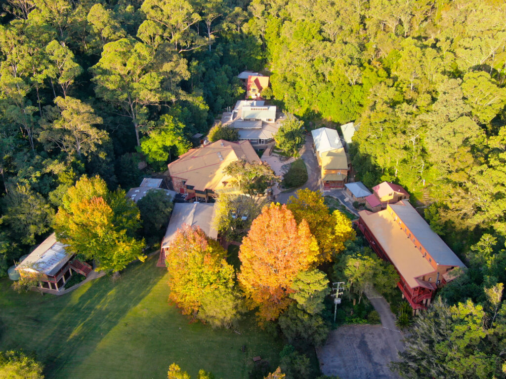 Beautiful Oceania Olivet Center : : Olivet News